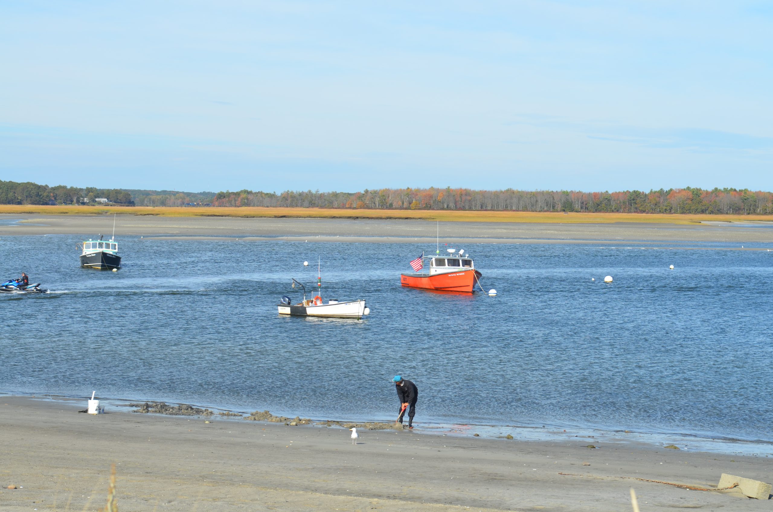 Download Maine Relocation package | Maine Home Connection