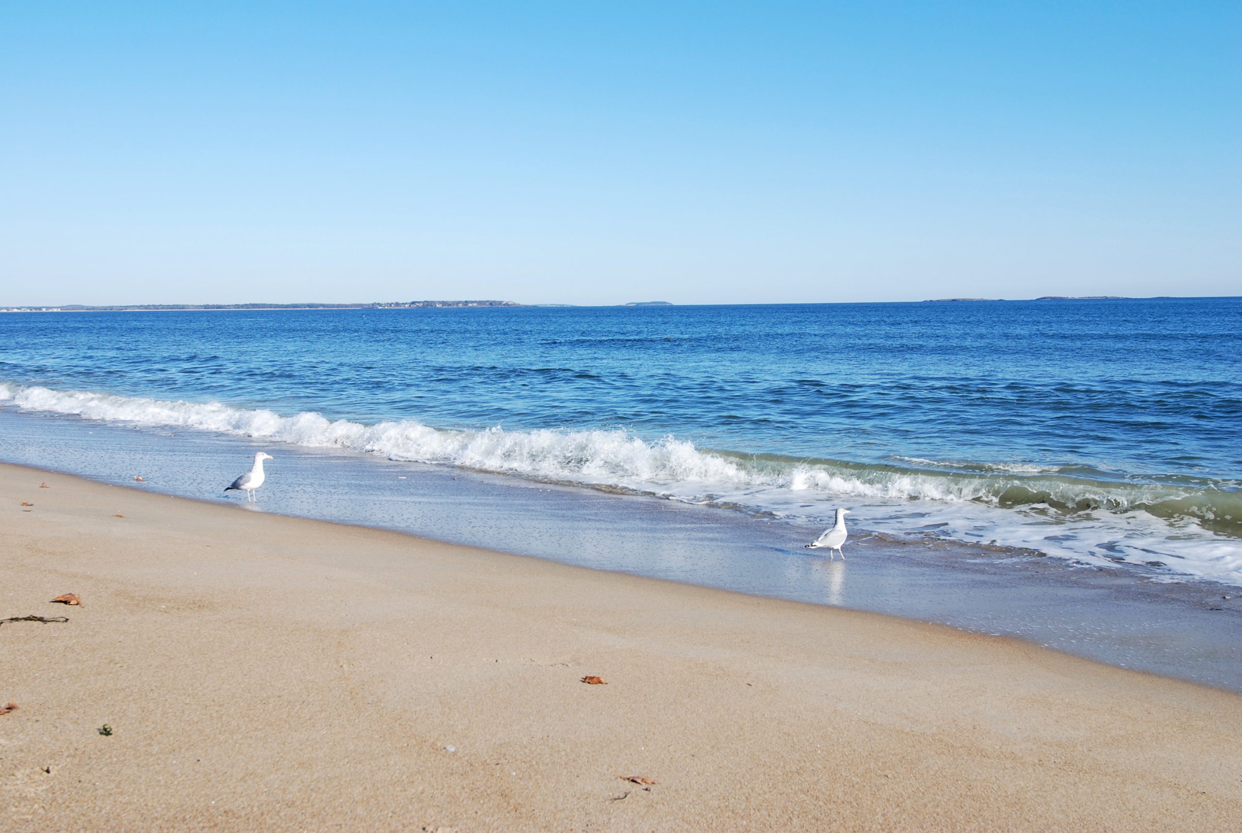 Engaging Home Story Telling: Create Connections That Sell Homes